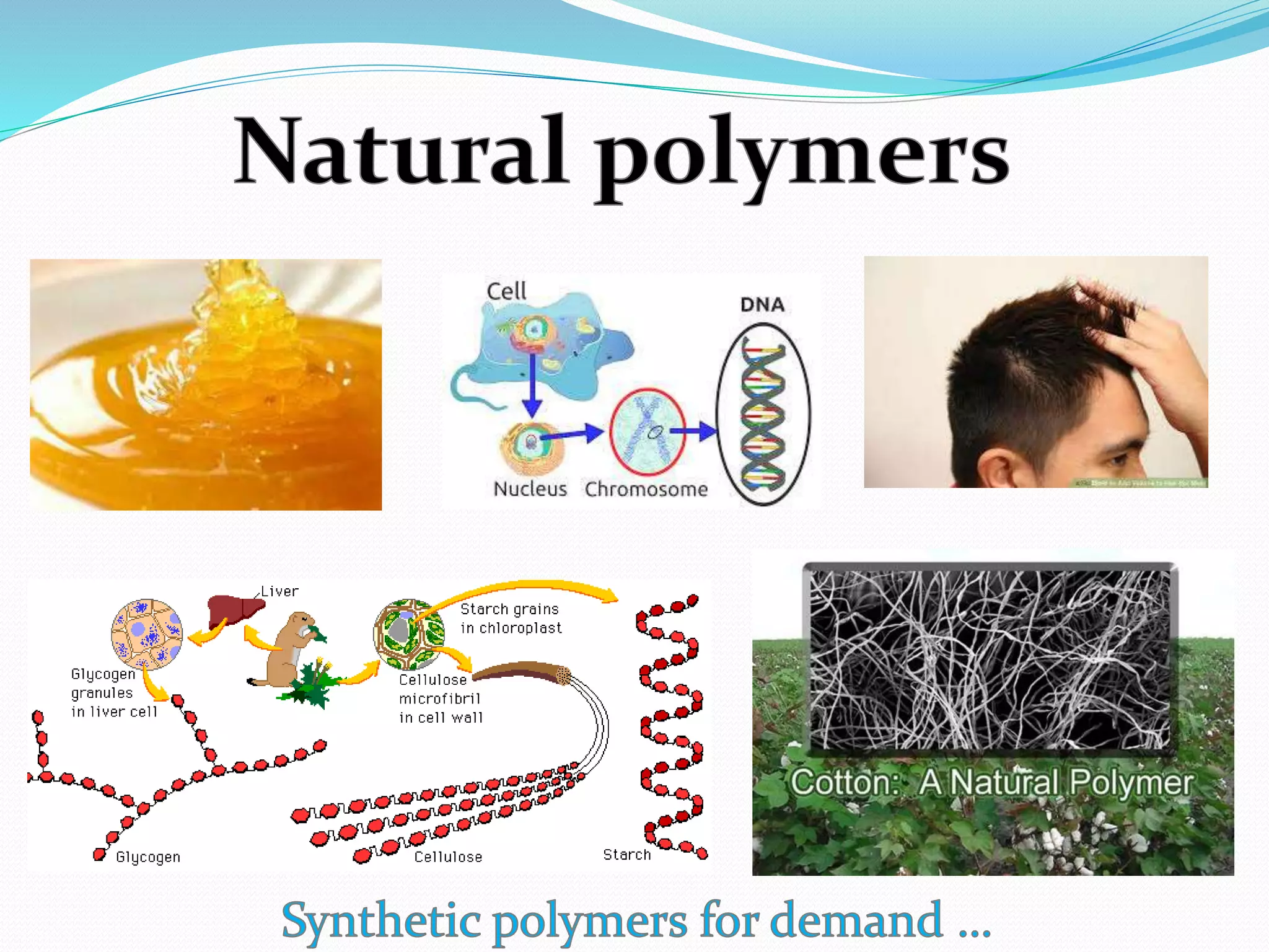 polymers and plastics field | PPTX