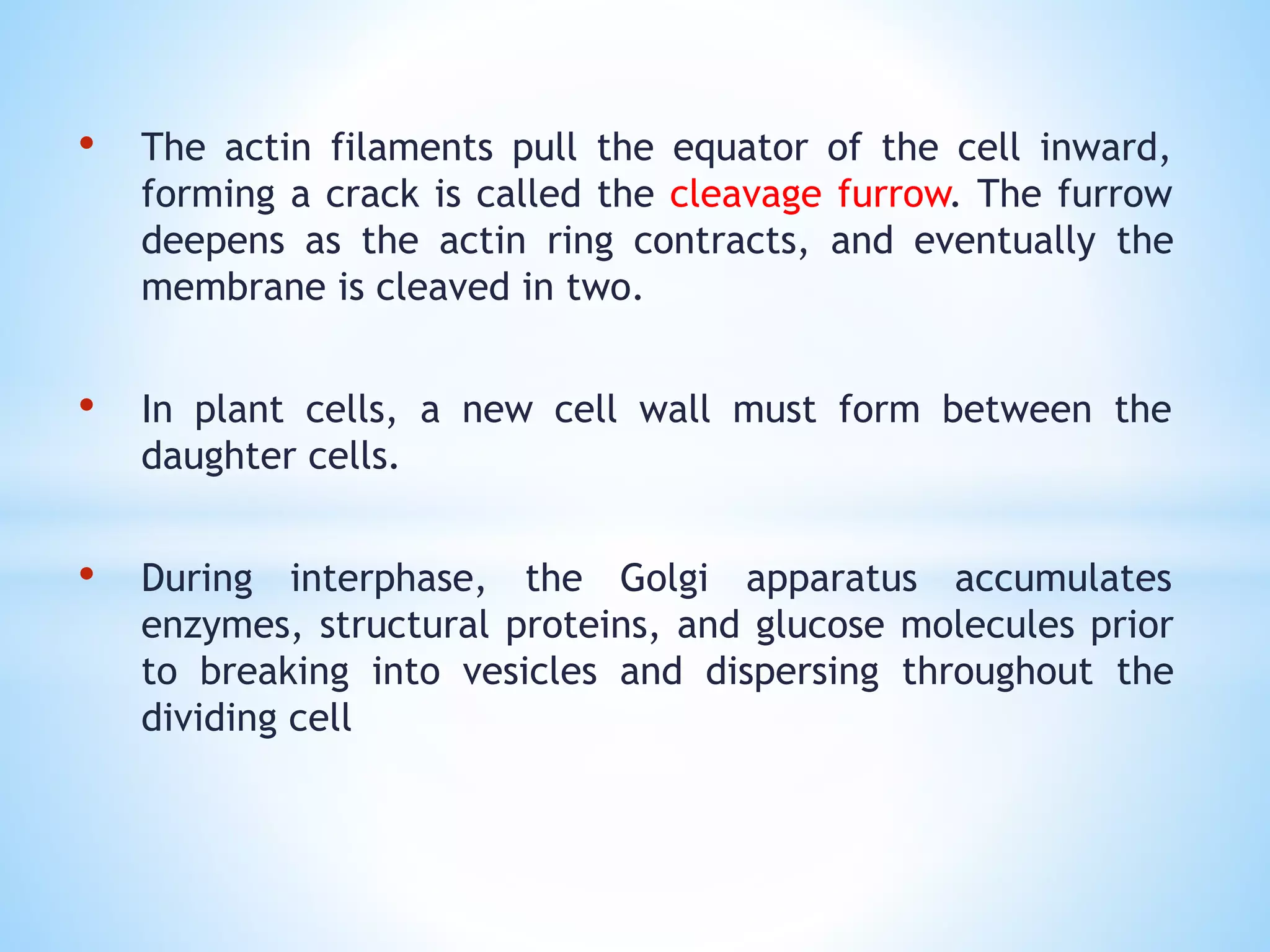 The Eukaryotic Cell Cycle ppt | PPTX