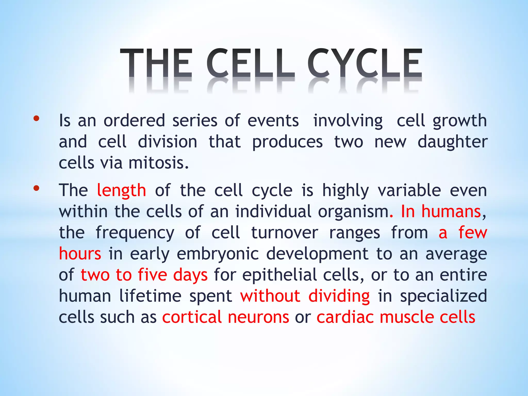 The Eukaryotic Cell Cycle ppt | PPTX