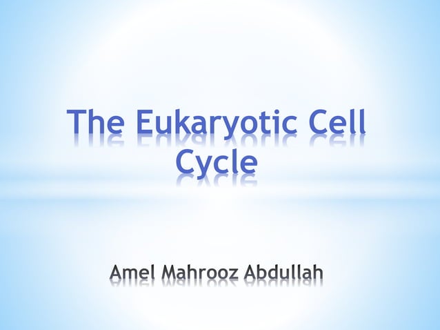 The Eukaryotic Cell Cycle ppt | PPTX | Needlework | Arts and Crafts