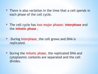The Eukaryotic Cell Cycle ppt | PPTX