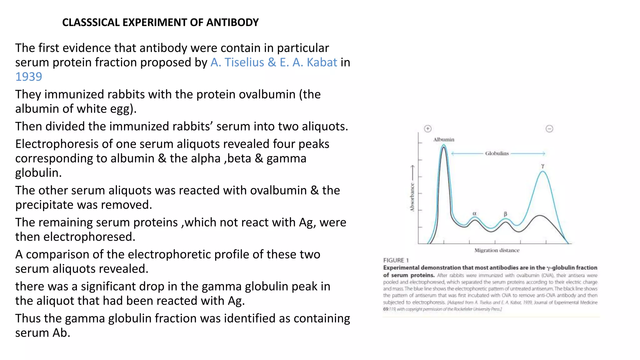 antibody structure classification and functions | PPTX
