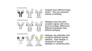 antibody structure classification and functions | PPTX