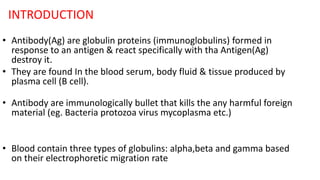 antibody structure classification and functions | PPTX