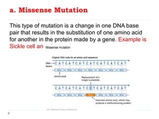 mutations | PPT