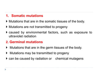 mutations | PPT