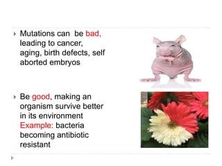 mutations | PPTX