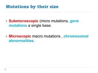 mutations | PPT