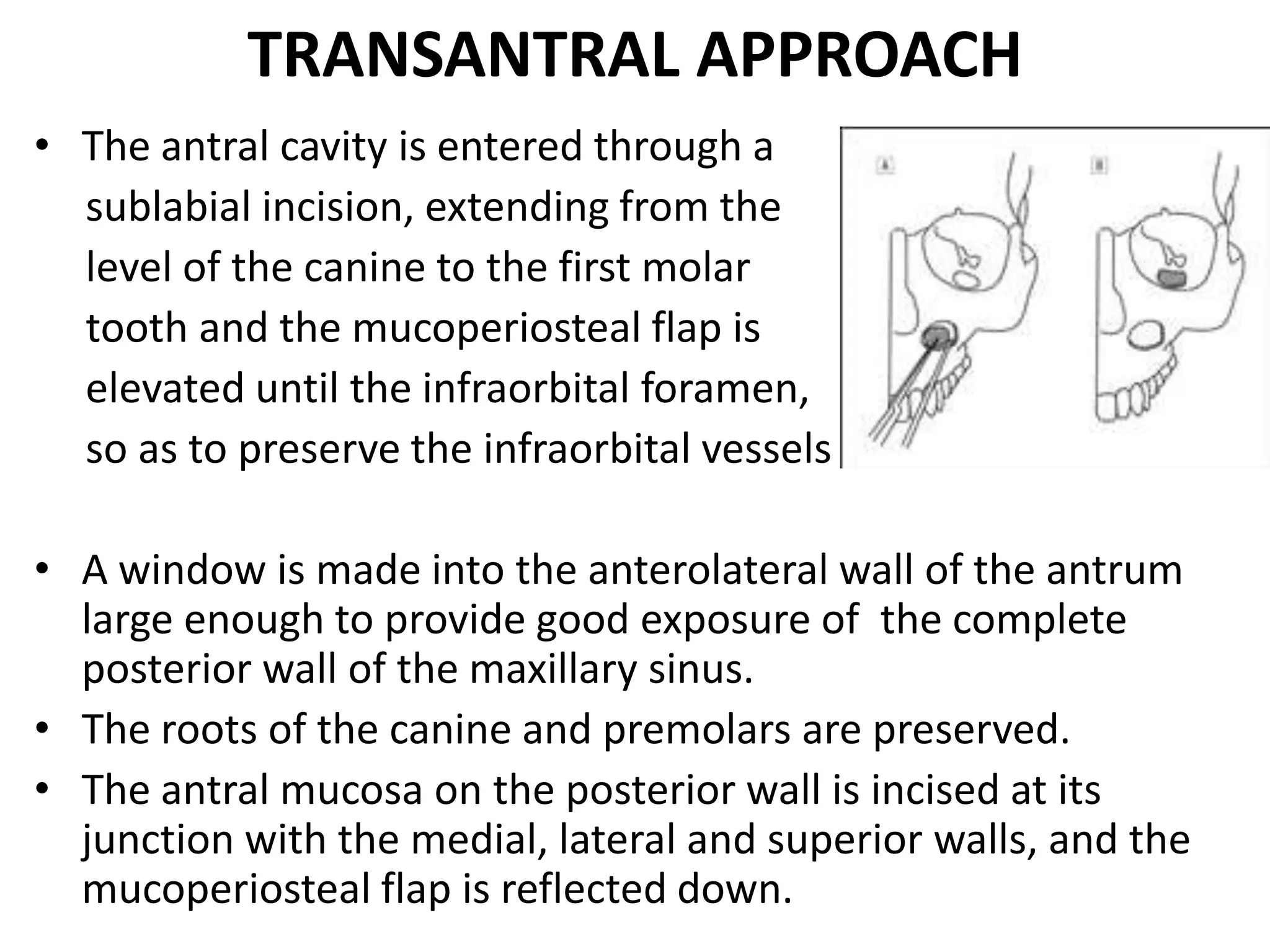 surgical & applied anatomy of temporal and infratemporal fossa | PPTX