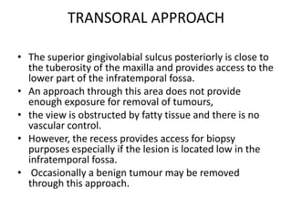 surgical & applied anatomy of temporal and infratemporal fossa | PPTX