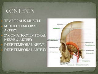 surgical & applied anatomy of temporal and infratemporal fossa | PPTX