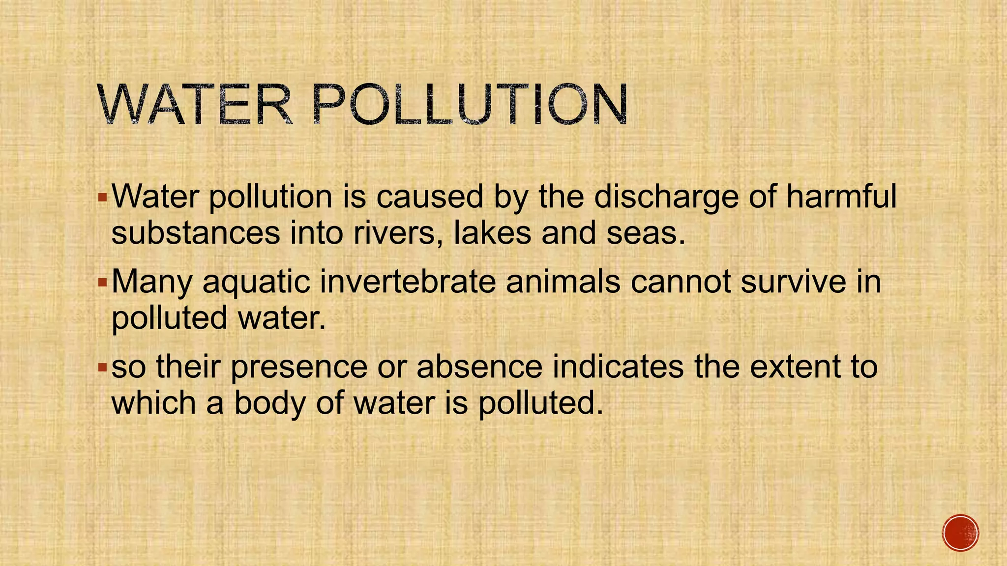 Population & Pollution | PPTX