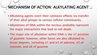 Classification of anti cancer agents | PPTX