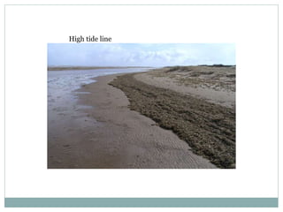 coastal management by Remote Sensing and GIS | PPTX