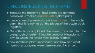 Objectives of paleobotany | PPTX