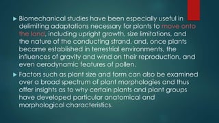 Objectives of paleobotany | PPTX