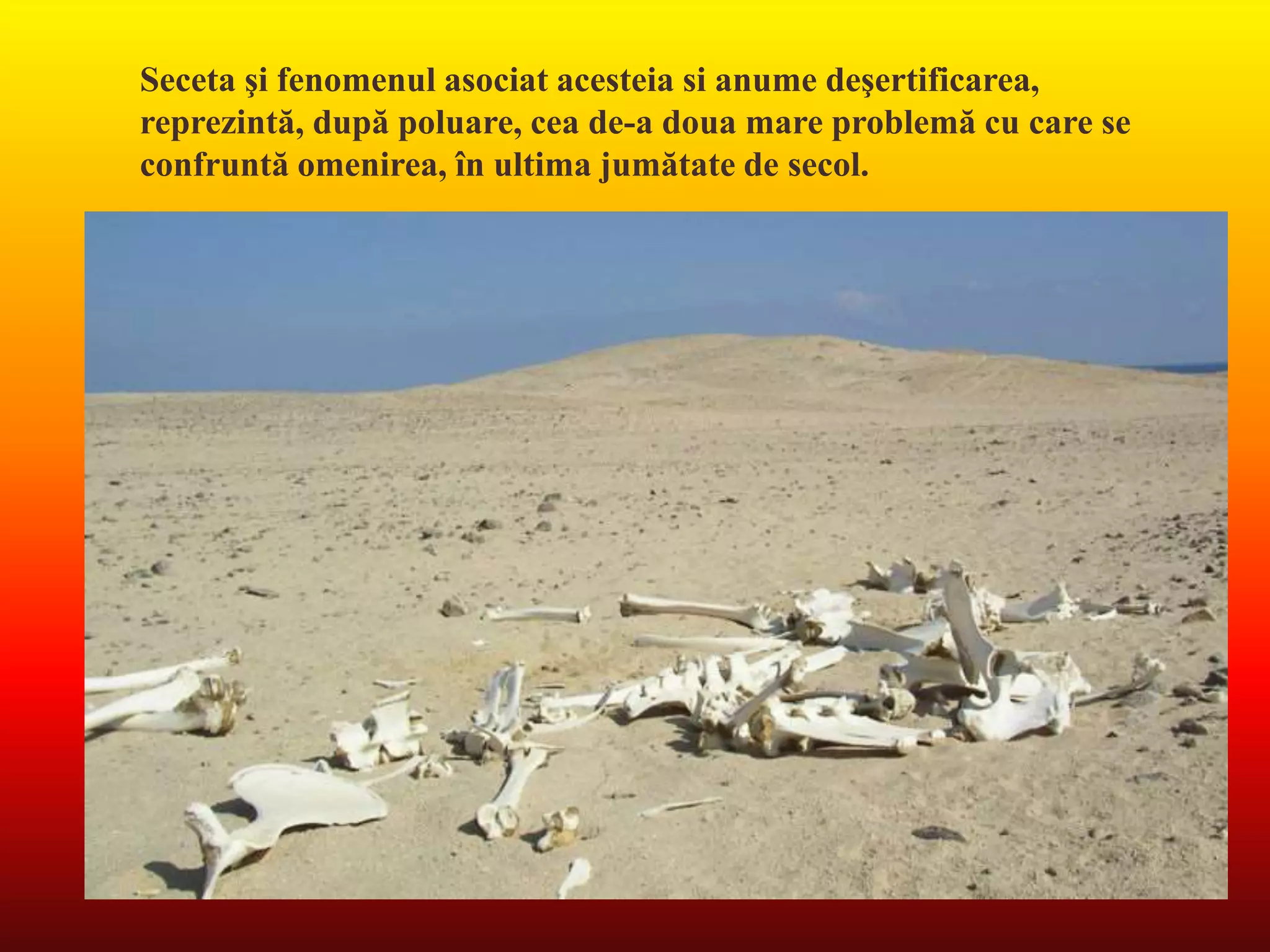 Seceta si desertificare | PPTX