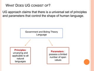What is Universal Grammar Theory and its Criticism | PPTX | Education