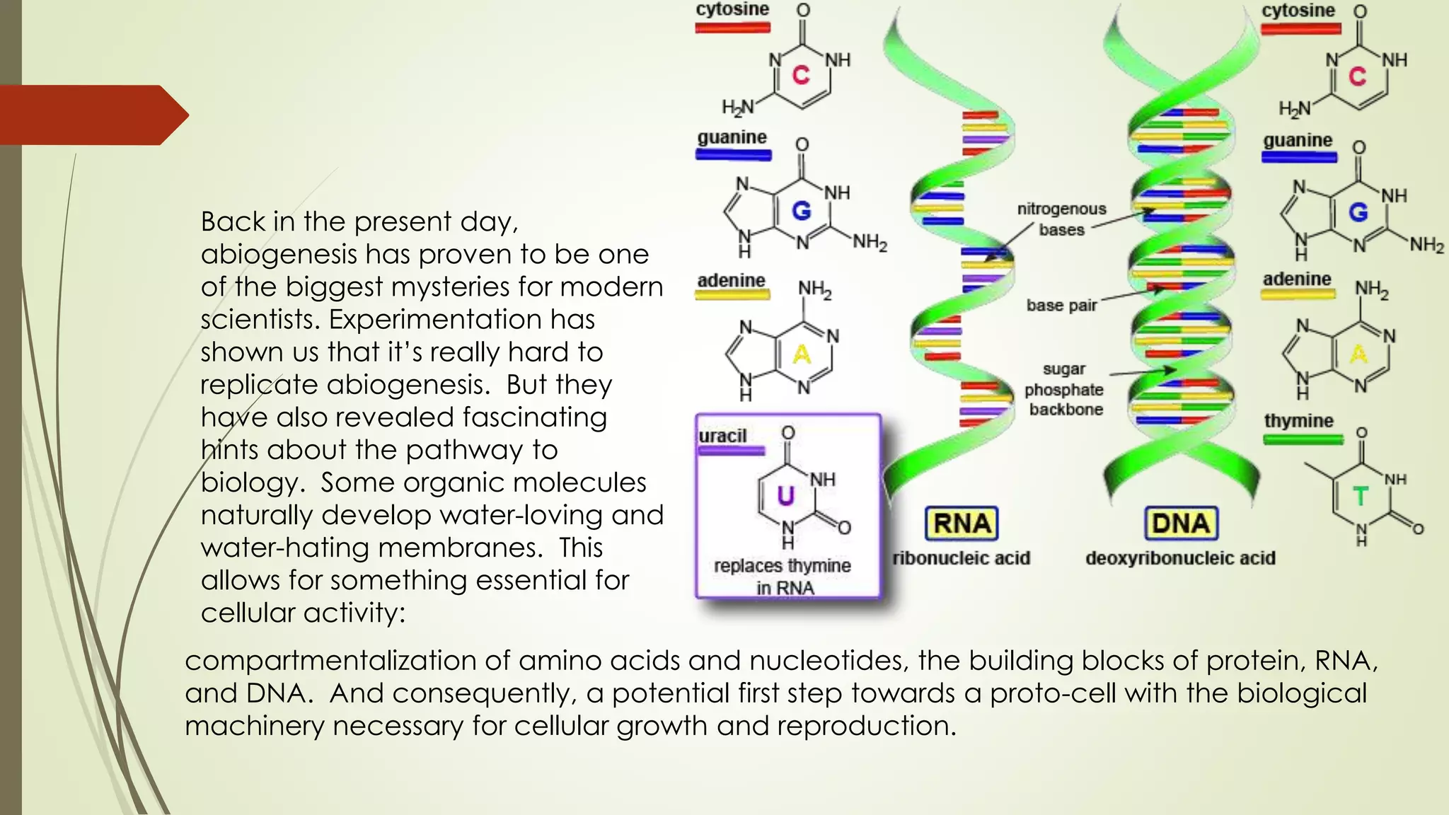 Origin of life | PPT