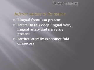 Tongue basics | PPTX