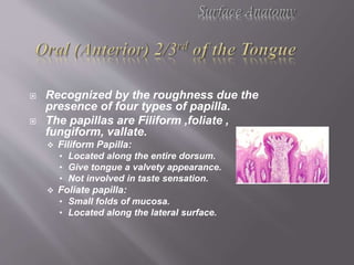 Tongue basics | PPTX