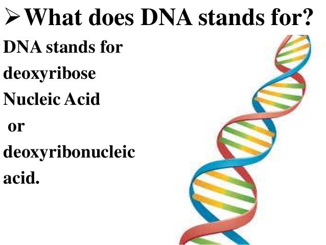 New microsoft power point presentation