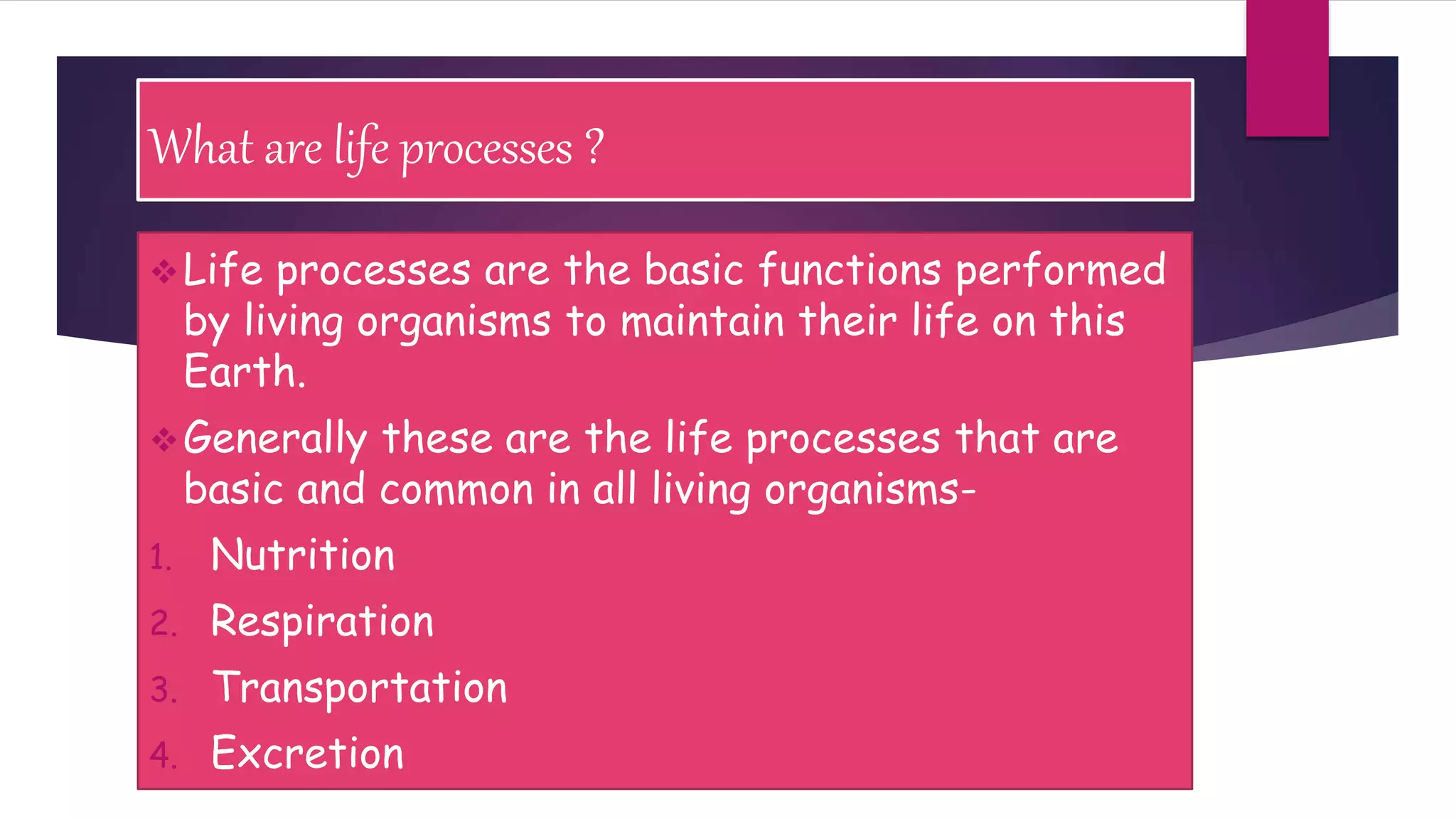 life processes | PPTX