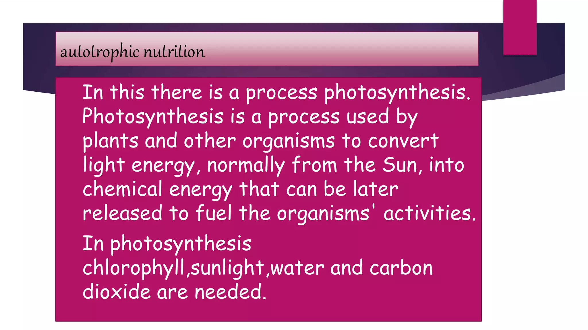 life processes | PPTX