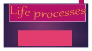 life processes | PPTX