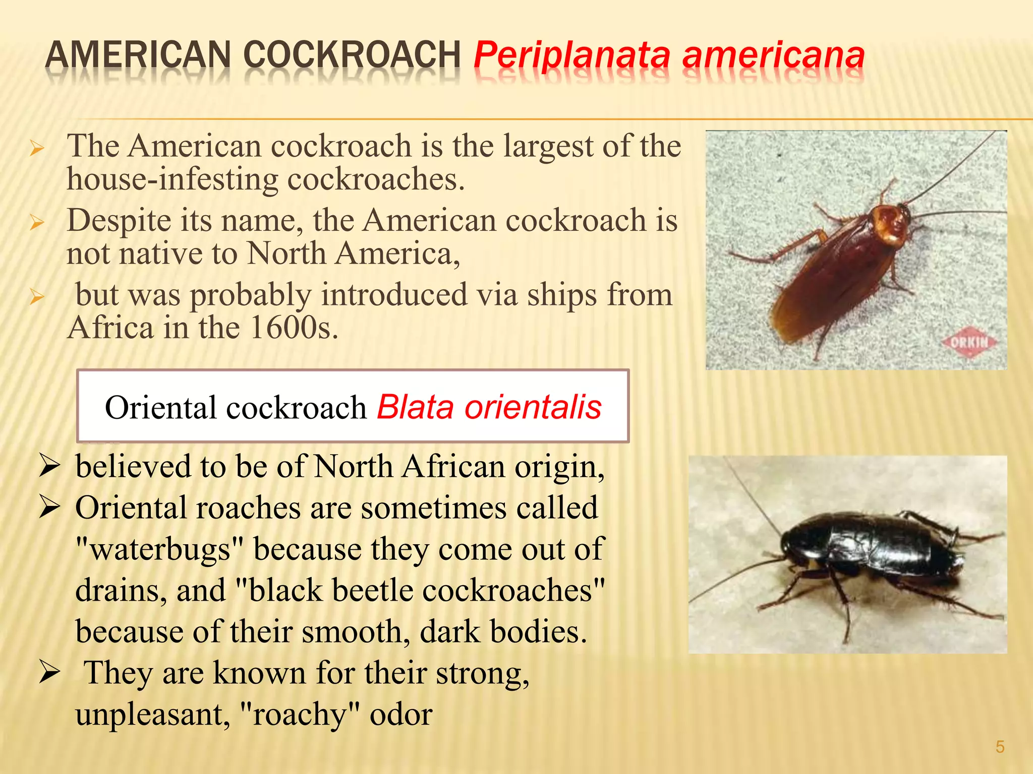 bio control of cockroach | PPTX