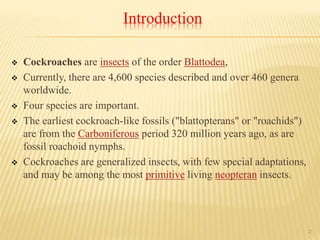 bio control of cockroach | PPT