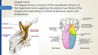 Lingual Paresthesia From Nerve Injection