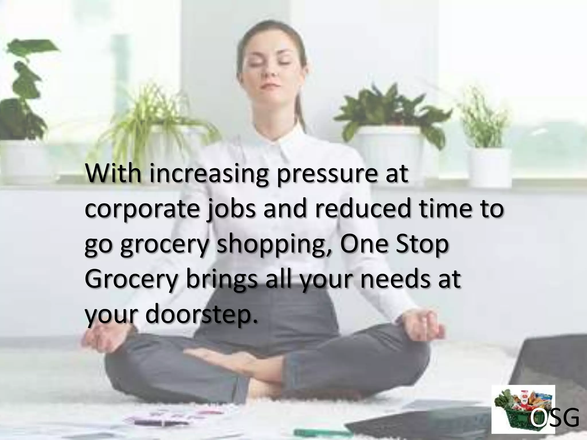 One Stop Grocery: Marketing Plan | PPT