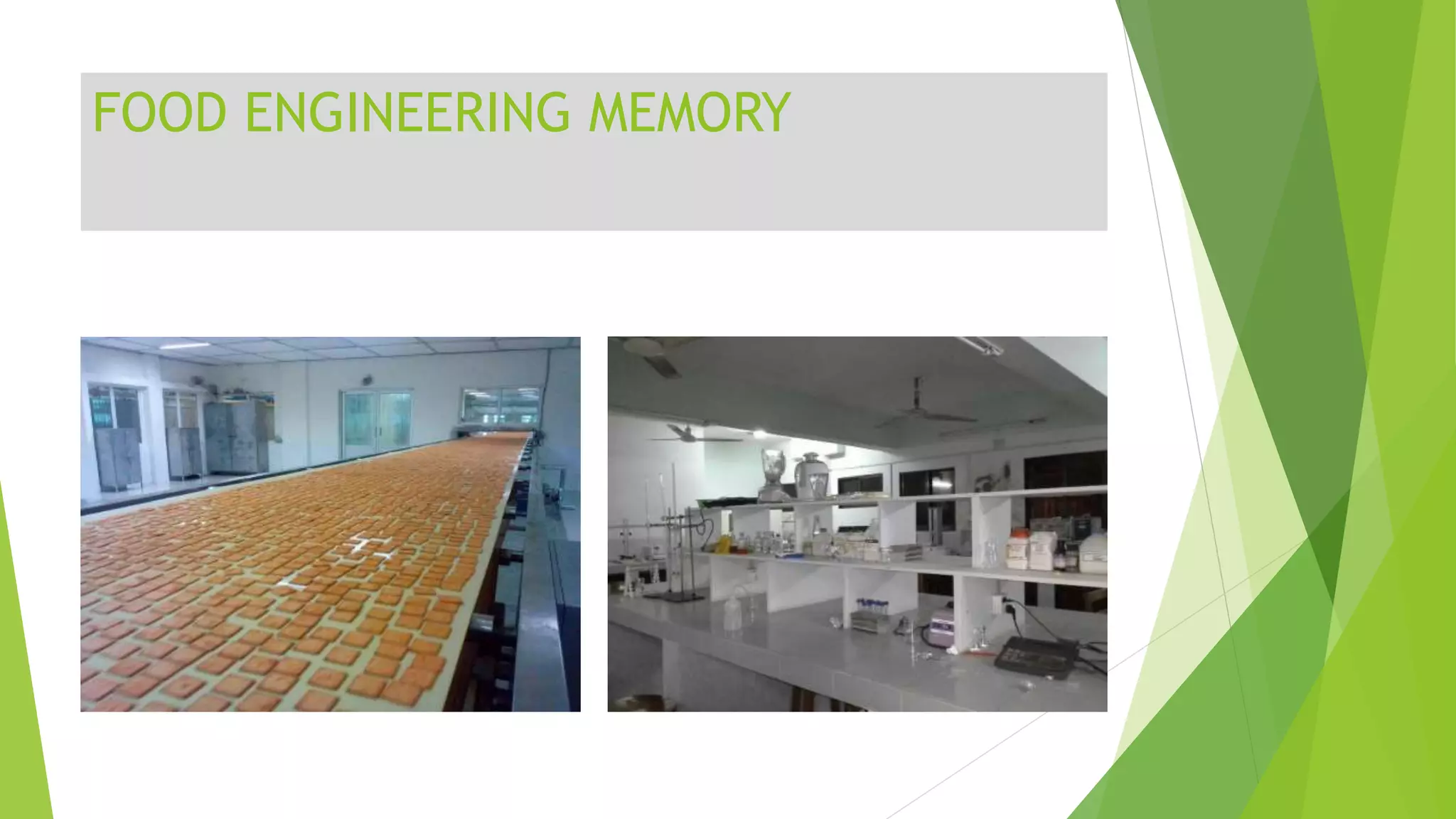 Food Engineering presentation | PPTX