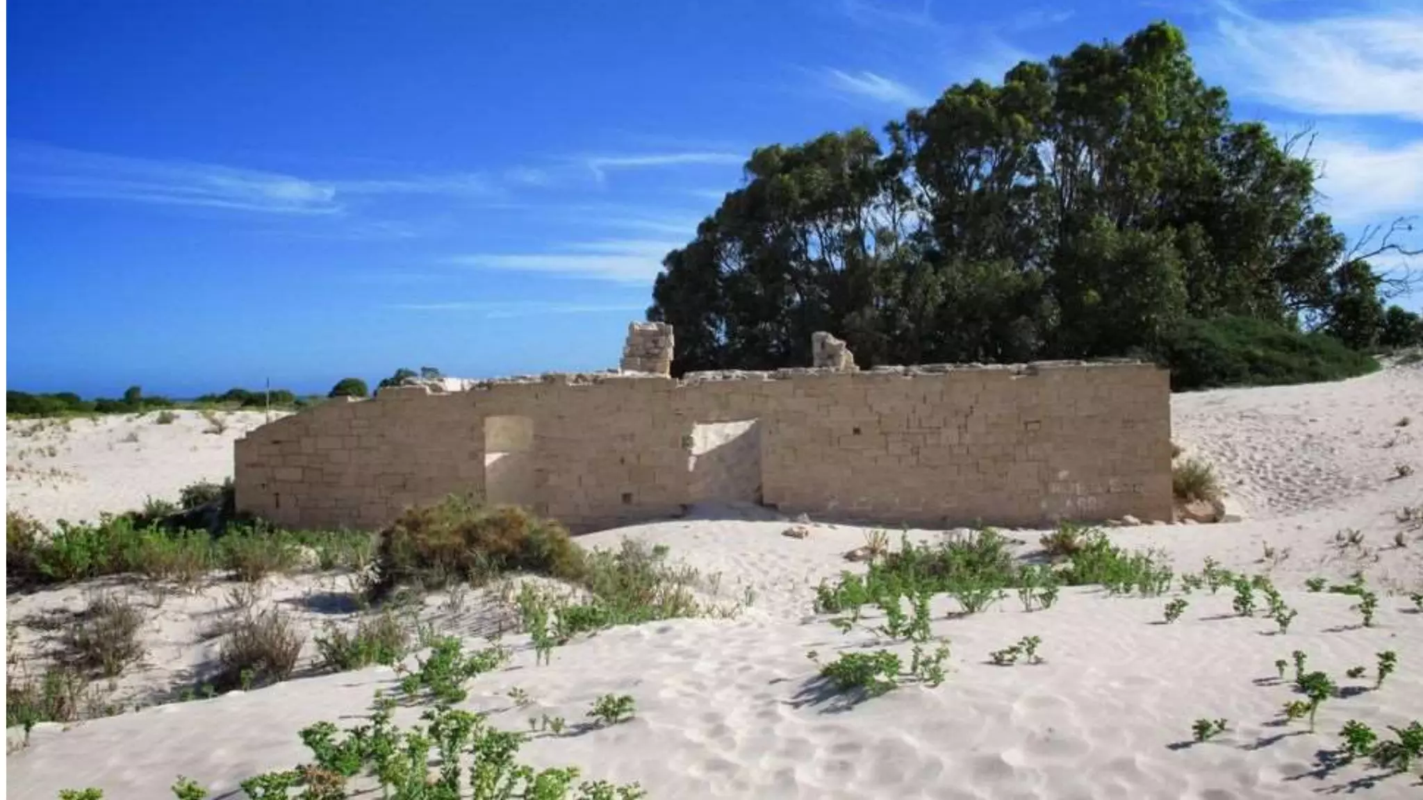 IGCSE GEOGRAPHY: COASTAL MANAGEMENT CASE STUDY | PPTX