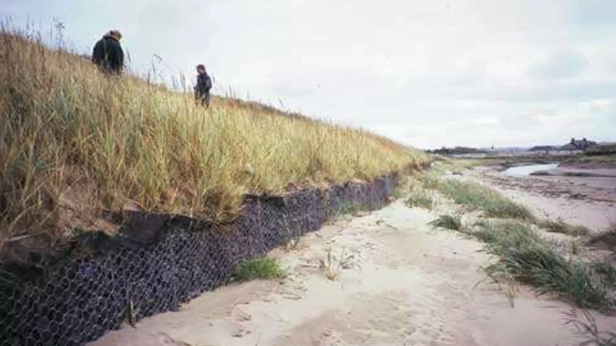 IGCSE GEOGRAPHY: COASTAL MANAGEMENT CASE STUDY | PPTX | Beach Travel ...