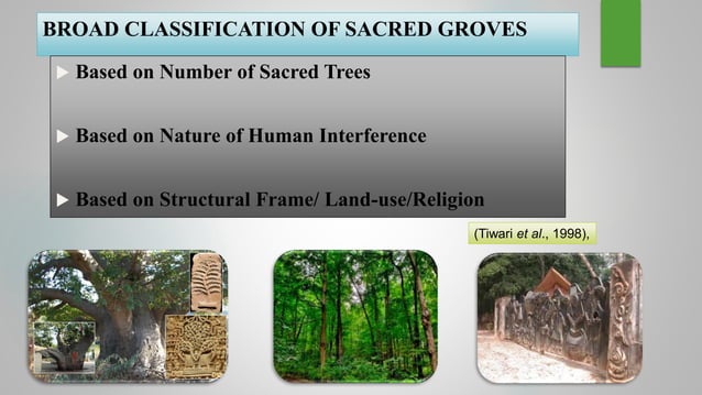 TOPIC: SACRED GROVES THE BIODIVERSITY HOTSPOTSpptx pdf | PDF | Hinduism ...