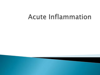 acute inflammation | PPT