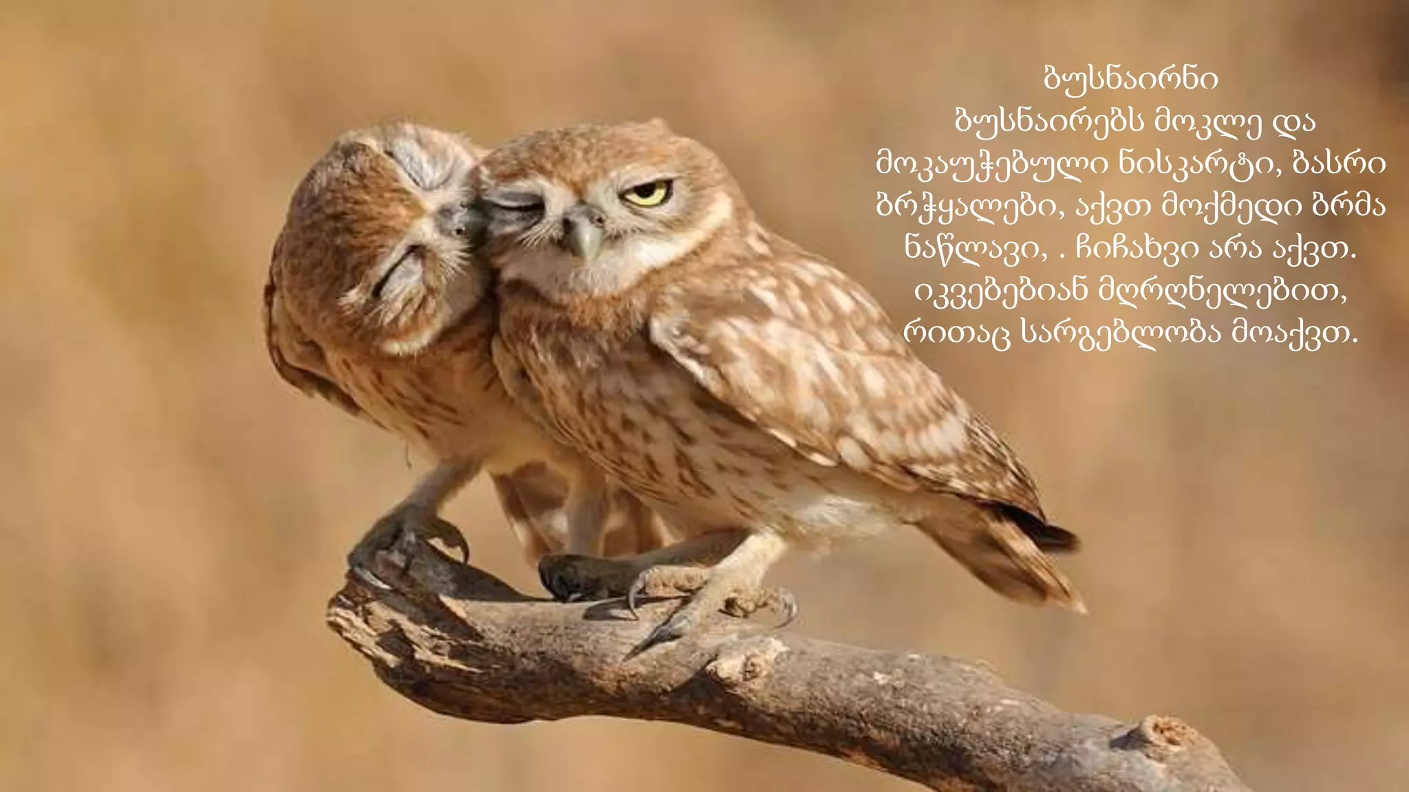 ფრინველების კვება და საჭმლის მომნელებელი სისტემა | PPTX