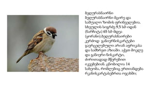 ფრინველების კვება და საჭმლის მომნელებელი სისტემა | PPTX