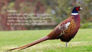 ფრინველების კვება და საჭმლის მომნელებელი სისტემა | PPTX