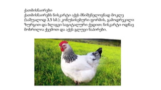 ფრინველების კვება და საჭმლის მომნელებელი სისტემა | PPTX