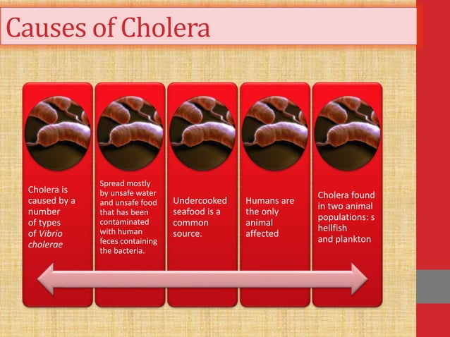 cholera | PPTX | Infectious Diseases | Diseases and Conditions