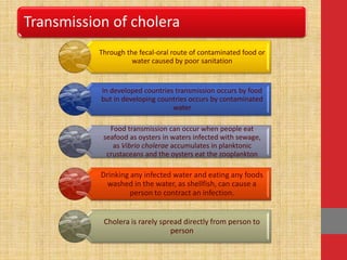 cholera | PPTX