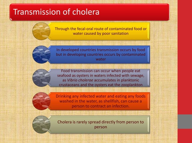 cholera | PPTX | Infectious Diseases | Diseases and Conditions