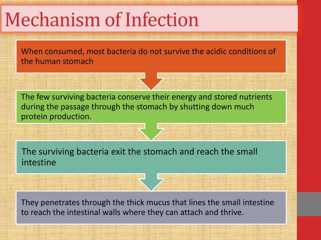 cholera | PPTX | Infectious Diseases | Diseases and Conditions