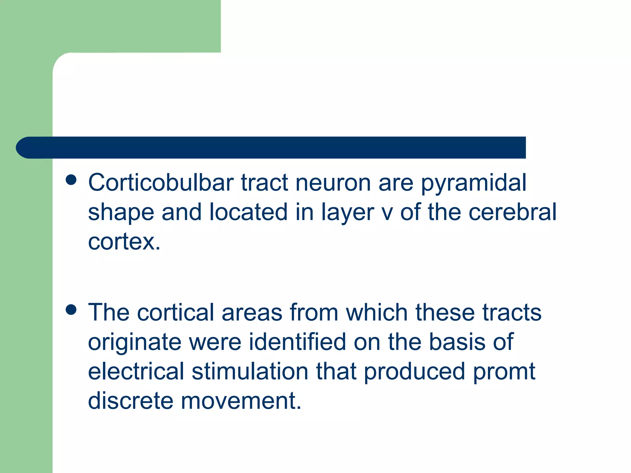 corticobulbar tract | PPT
