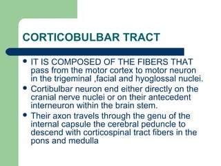 corticobulbar tract | PPT