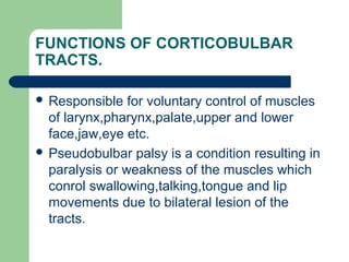 corticobulbar tract | PPT