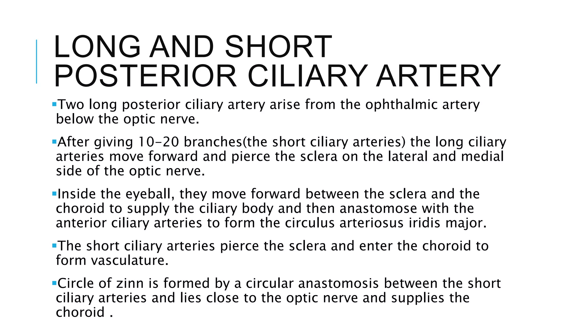 BLOOD SUPPLY TO THE EYE AND ORBIT | PPTX